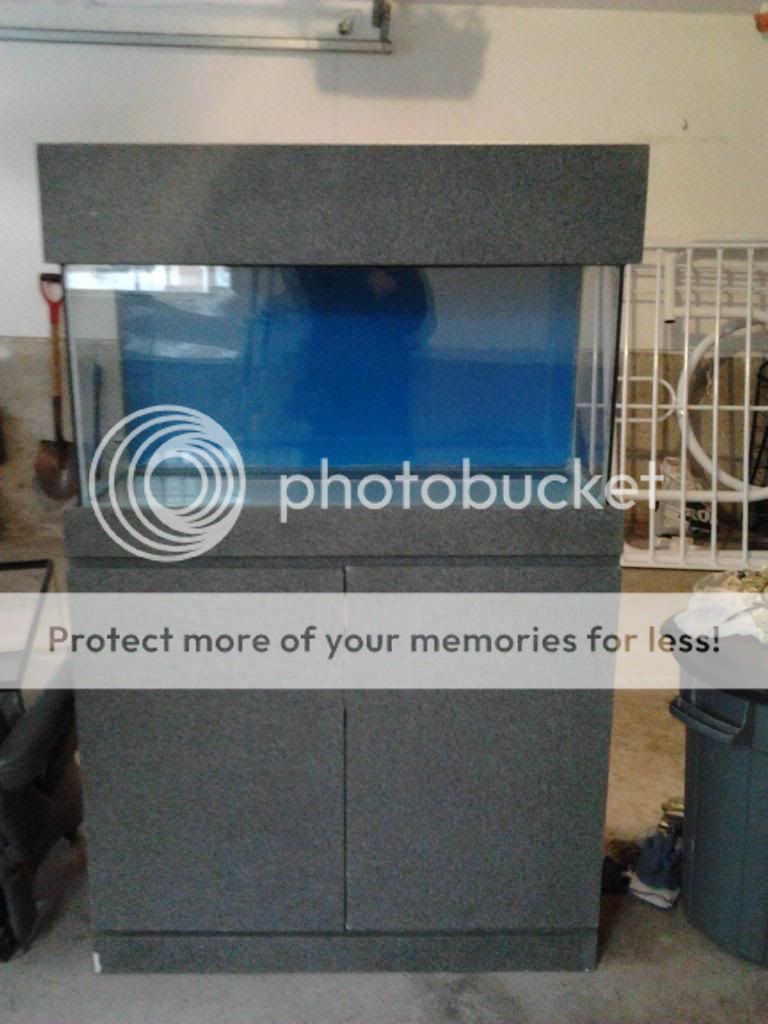 33G setup | GTA Aquarium Forums